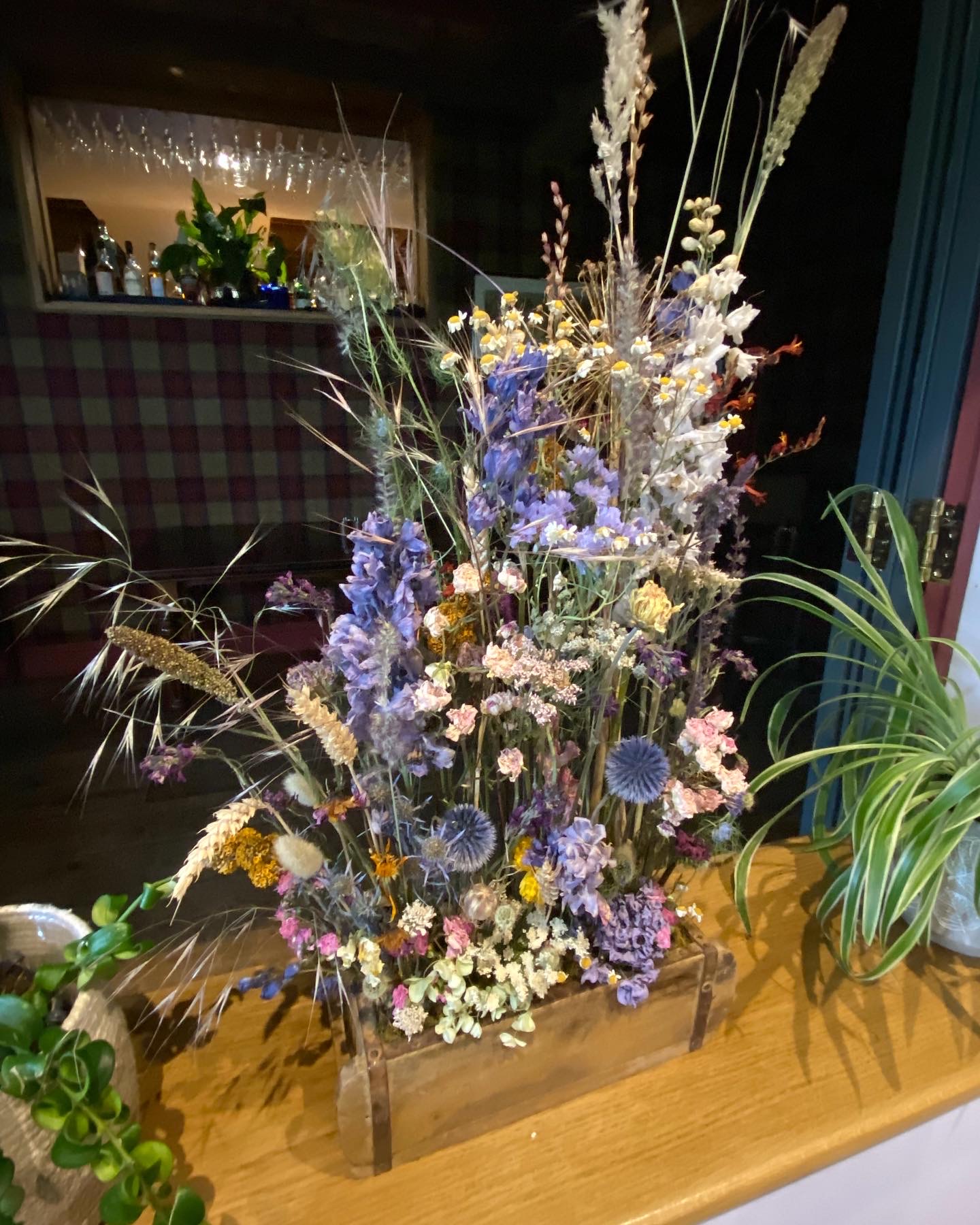 Flowers at Friesland Farm – frieslandfarm (flowers)