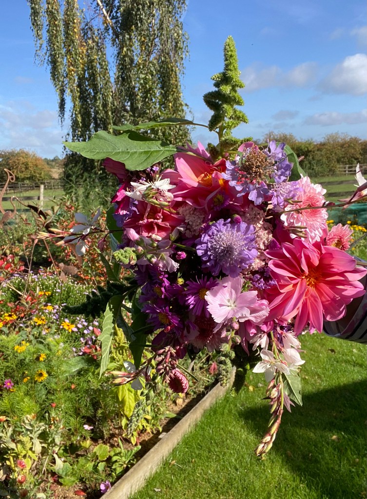 Flowers at Friesland Farm – frieslandfarm (flowers)